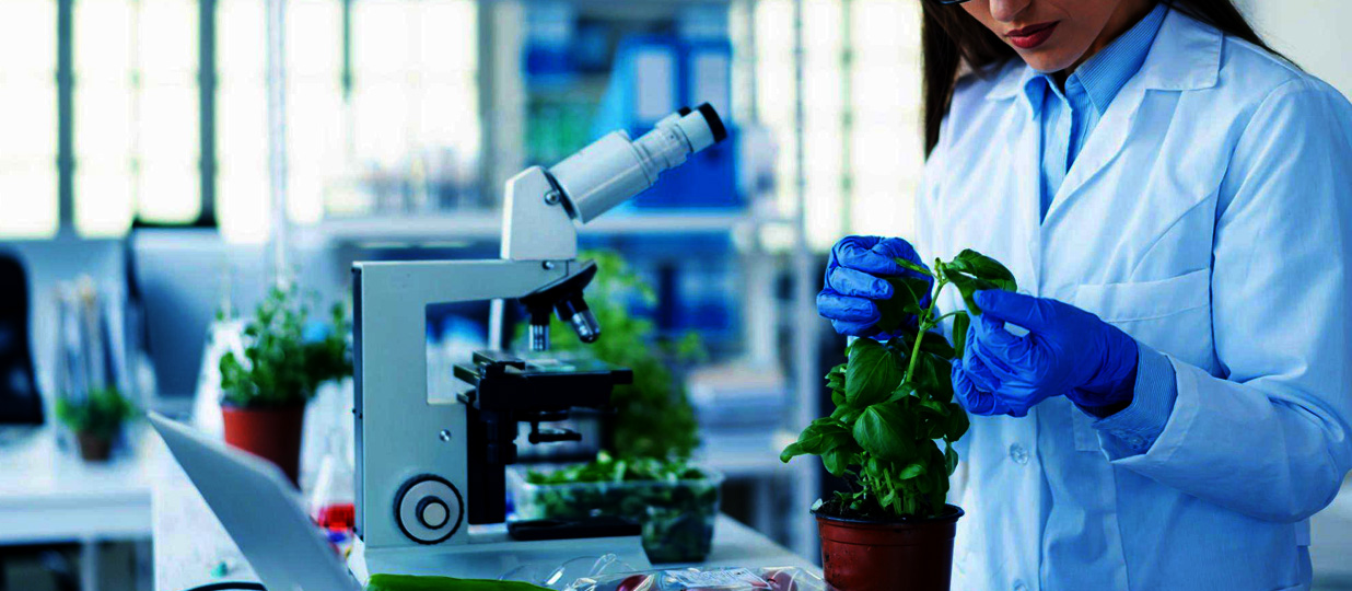 Sustainable Lab Design: Eco-Friendly Practices for the Future - HiTech ... Sustainable Lab Design: Eco-Friendly Practices for the Future - HiTech ...